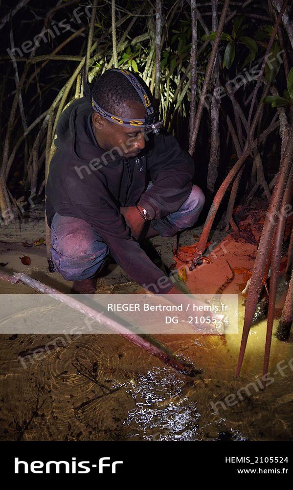 Hemis stock photo agency specialized travel, tourism, nature and ...