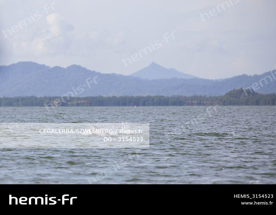 Hemis : Philippines palawan taytay reserve naturelle malampaya sound ...