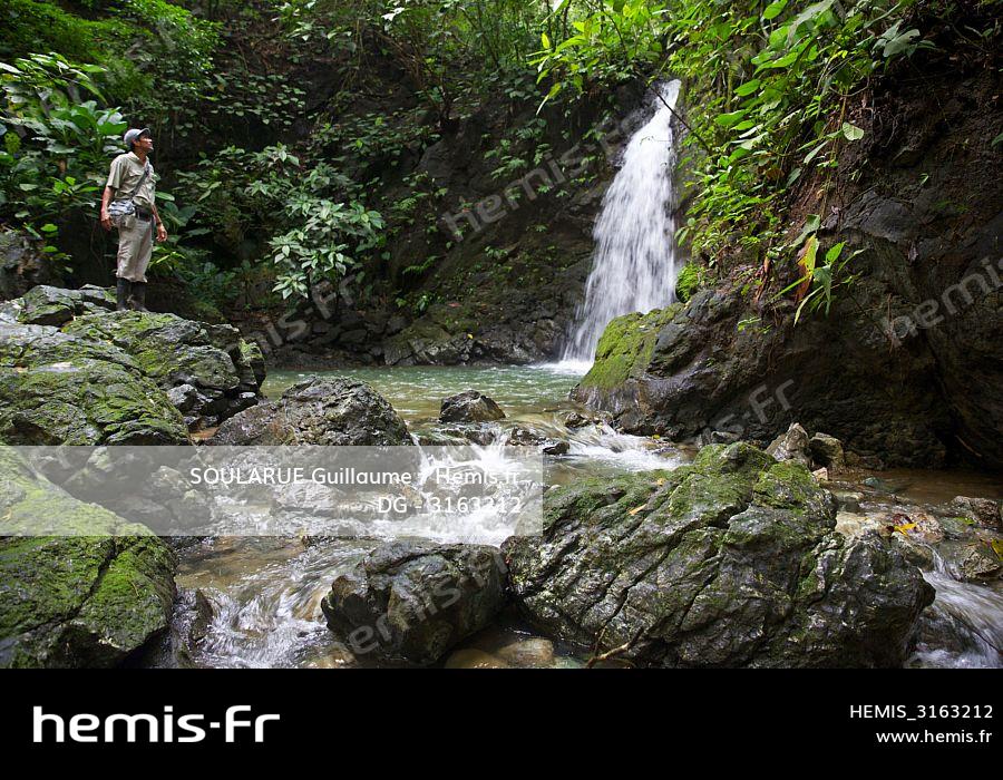 Hemis : Costa rica peninsule osa guide naturaliste face cascade foret ...