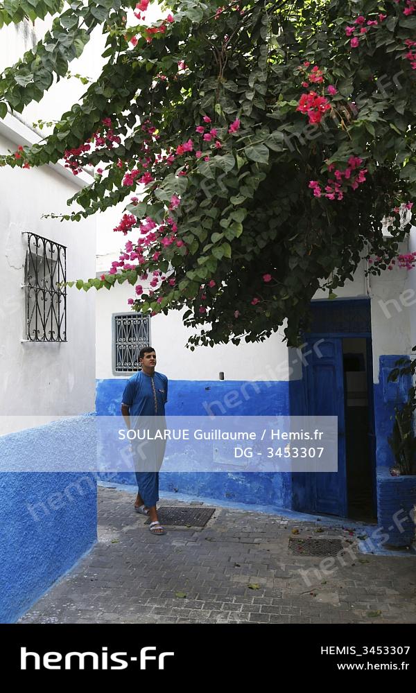 Hemis : Maroc region tanger tetouan tanger jeunes tangerois ruelle ...