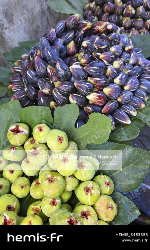 Hemis : Maroc region tanger tetouan tanger etal figues blanches rouges souk