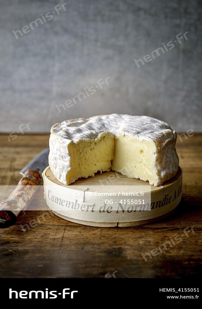 Hemis : France calvados pays auge aoc camembert normandie fromage vache ...