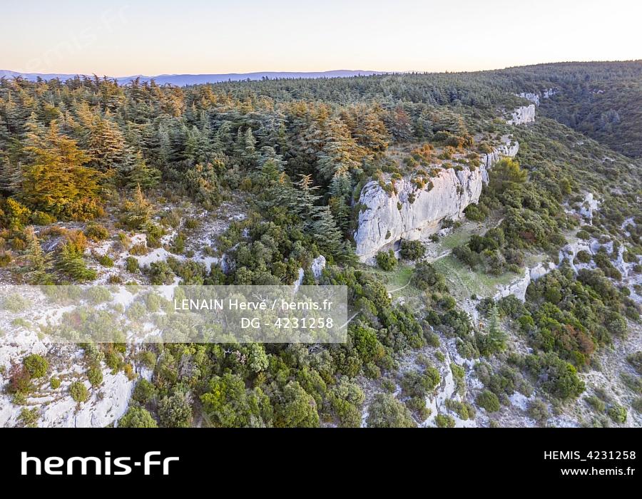 Hemis : France vaucluse parc naturel regional luberon lacoste foret ...