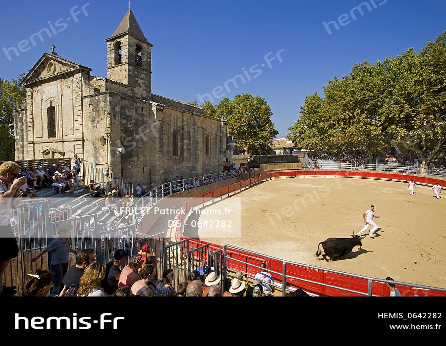 Hemis : France gard petite camargue saint laurent d aigouze course camarguaise eglise dominant arene