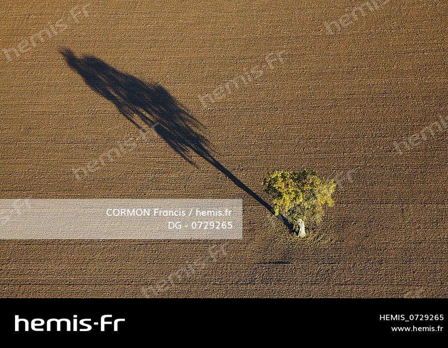 Hemis : France eure lyons la foret beaux villages france pommier vue ...