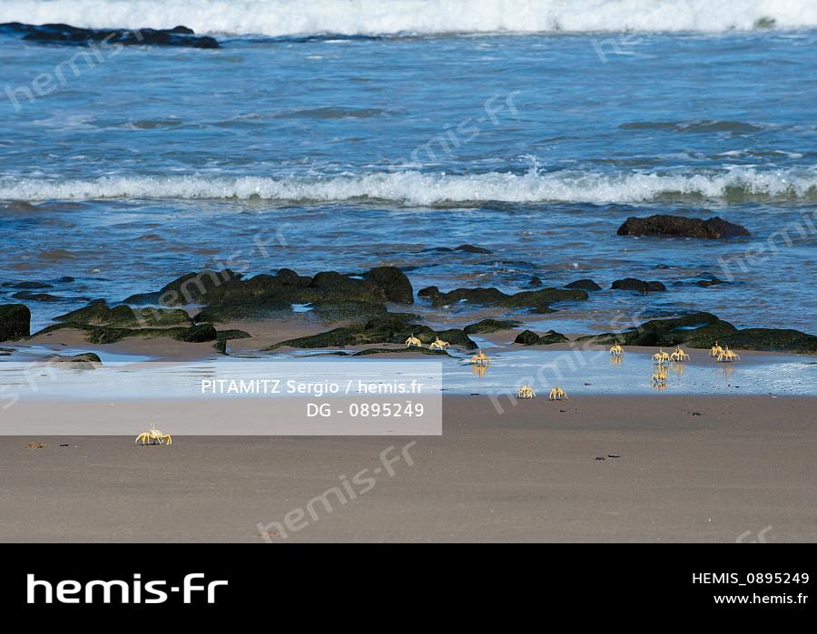 Hemis stock photo agency specialized travel, tourism, nature and ...